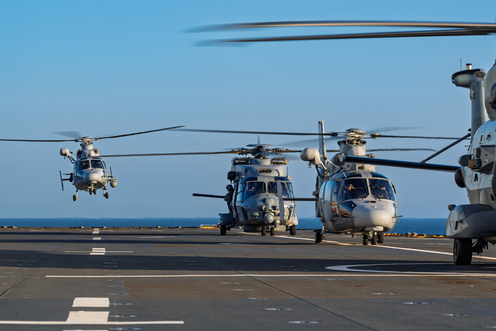 Armée de terre - La formation commando - Les centres de documentation ...